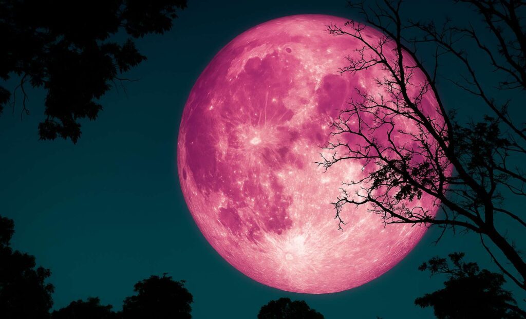 Rare Strawberry Moon spotted in UAE, wows residents with pinkish glow ...